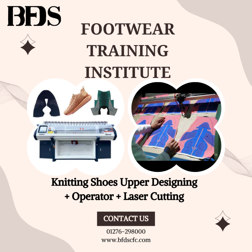 FOOTWEAR TRAINING INSTITUTE - Bahadurgarh Footwear Development Services ...